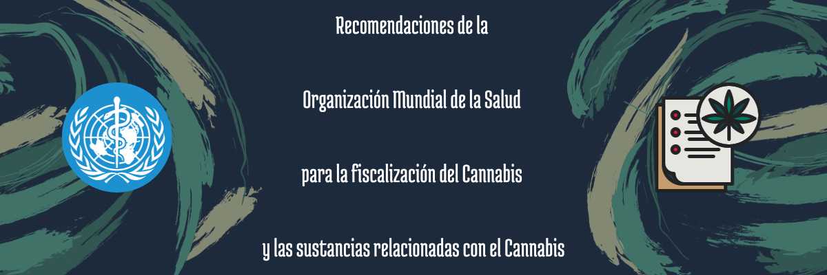 Recomendaciones De La Oms Para La Fiscalización Del Cannabis Y Las