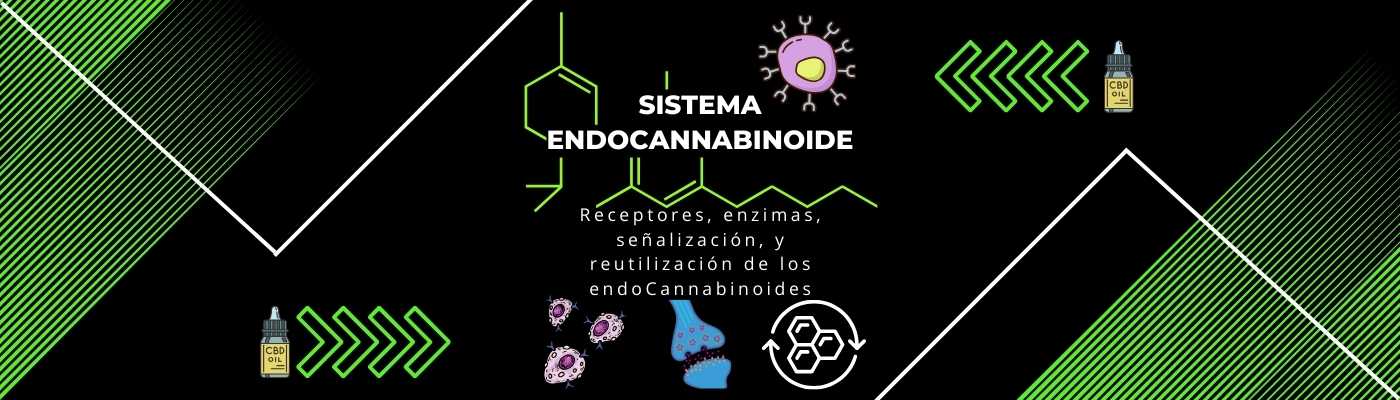 Sistema endoCannabinoide: Receptores, enzimas, señalización, y ...